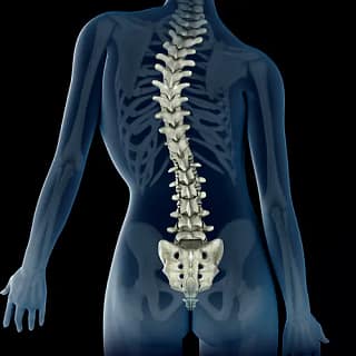 Bones And Joints - Most Common Conditions & Treatments | CMW